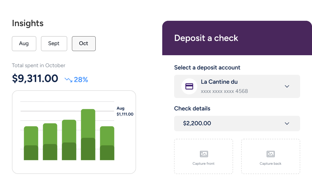 Purpleplum - Powering the Future of Fintech